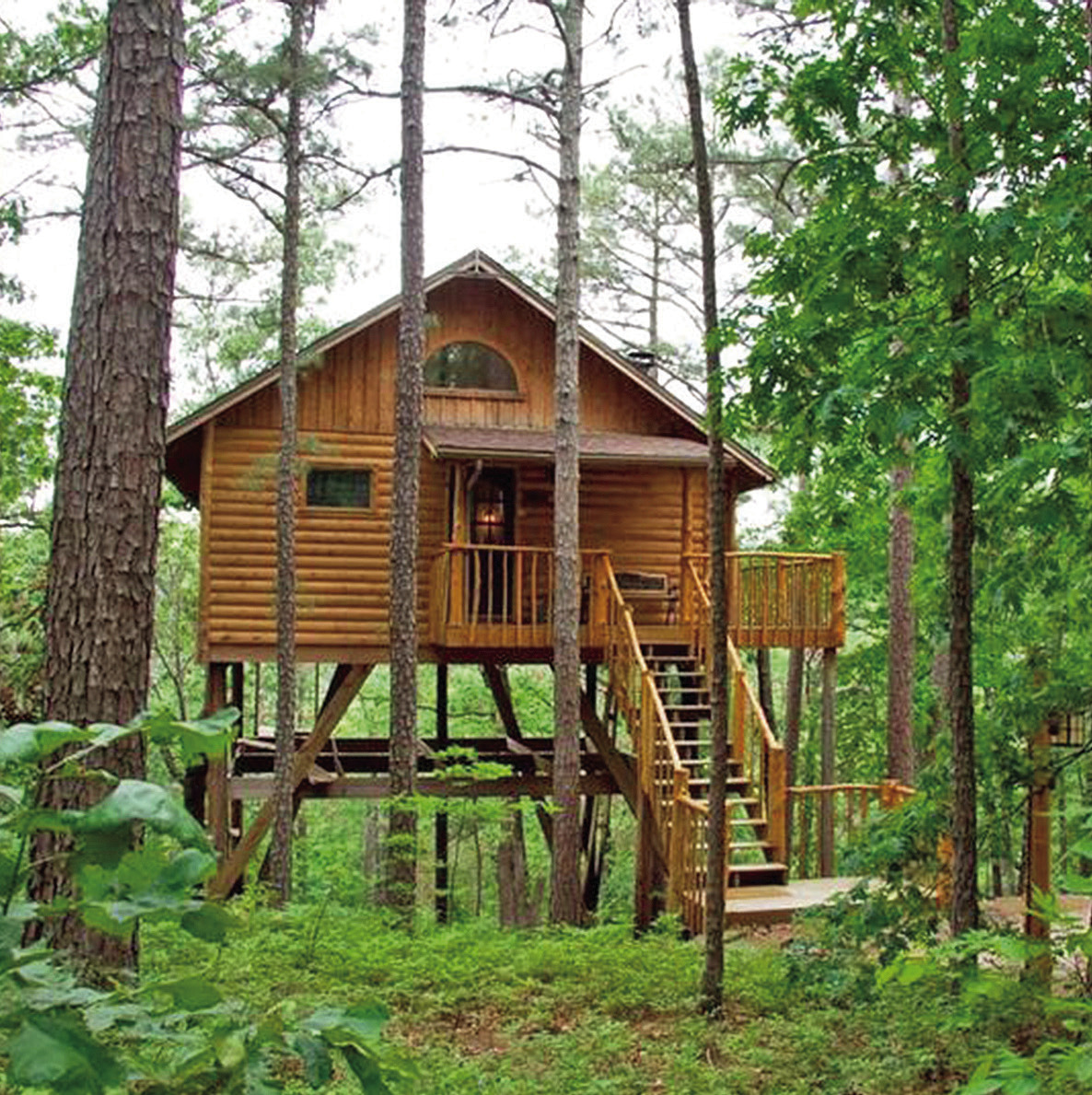 Magical Treehouses - Eureka Spring Times-Echo