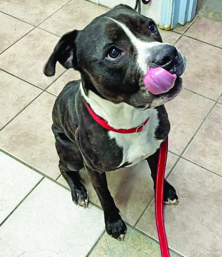 Judge ejects local man - Eureka Spring Times-Echo